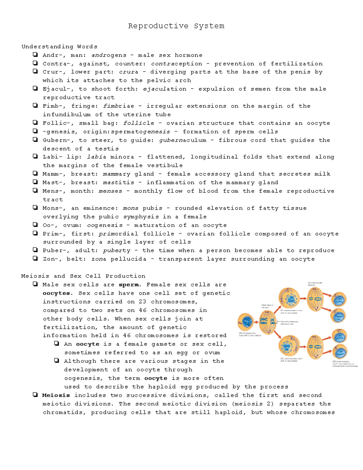 Chapter 22 Reproductive System - Understanding Words Andr-, man: andr ...