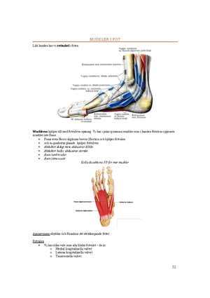 Handens ben - En sammanfattning av anatomi - HANDEN RÖRELSER x Handled ...