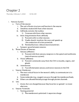 exam 1 nervous system - Nervous System - Neuron: basic unit of nervous ...