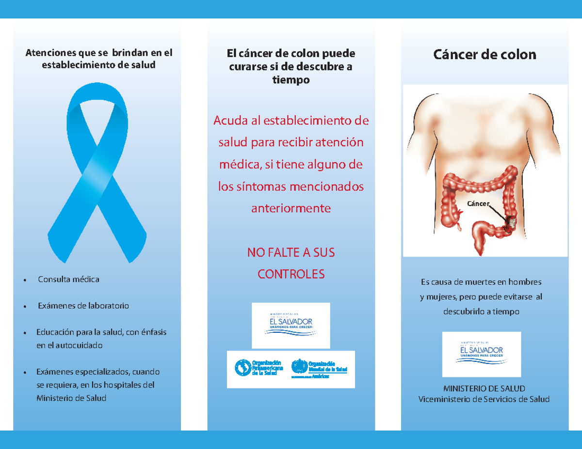 Triptico cancer de colon - Ovarian Cervical Pancreatic Brain • Consulta ...