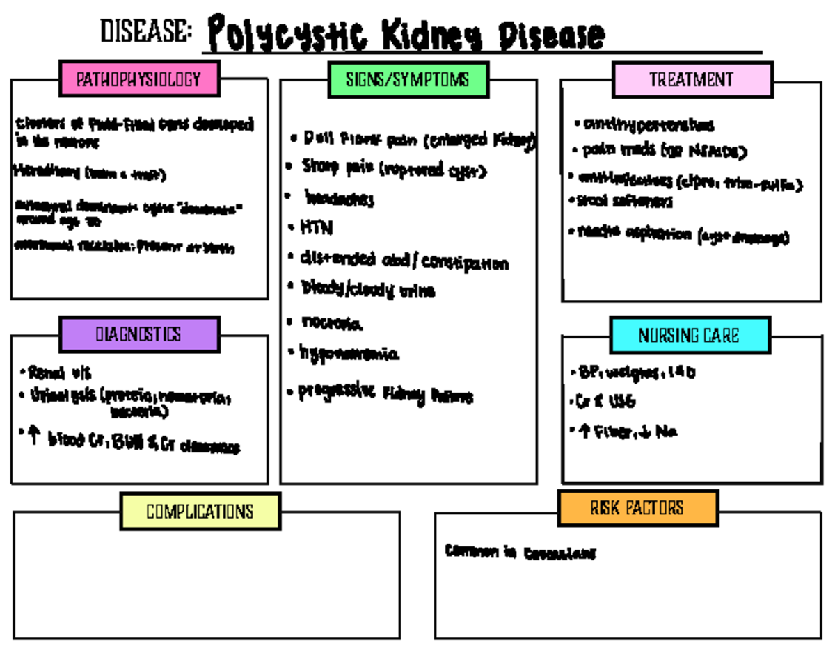 Renal Patho Pages - PATHOPHYSIOLOGY DIAGNOSTICS NURSING CARE RISK ...