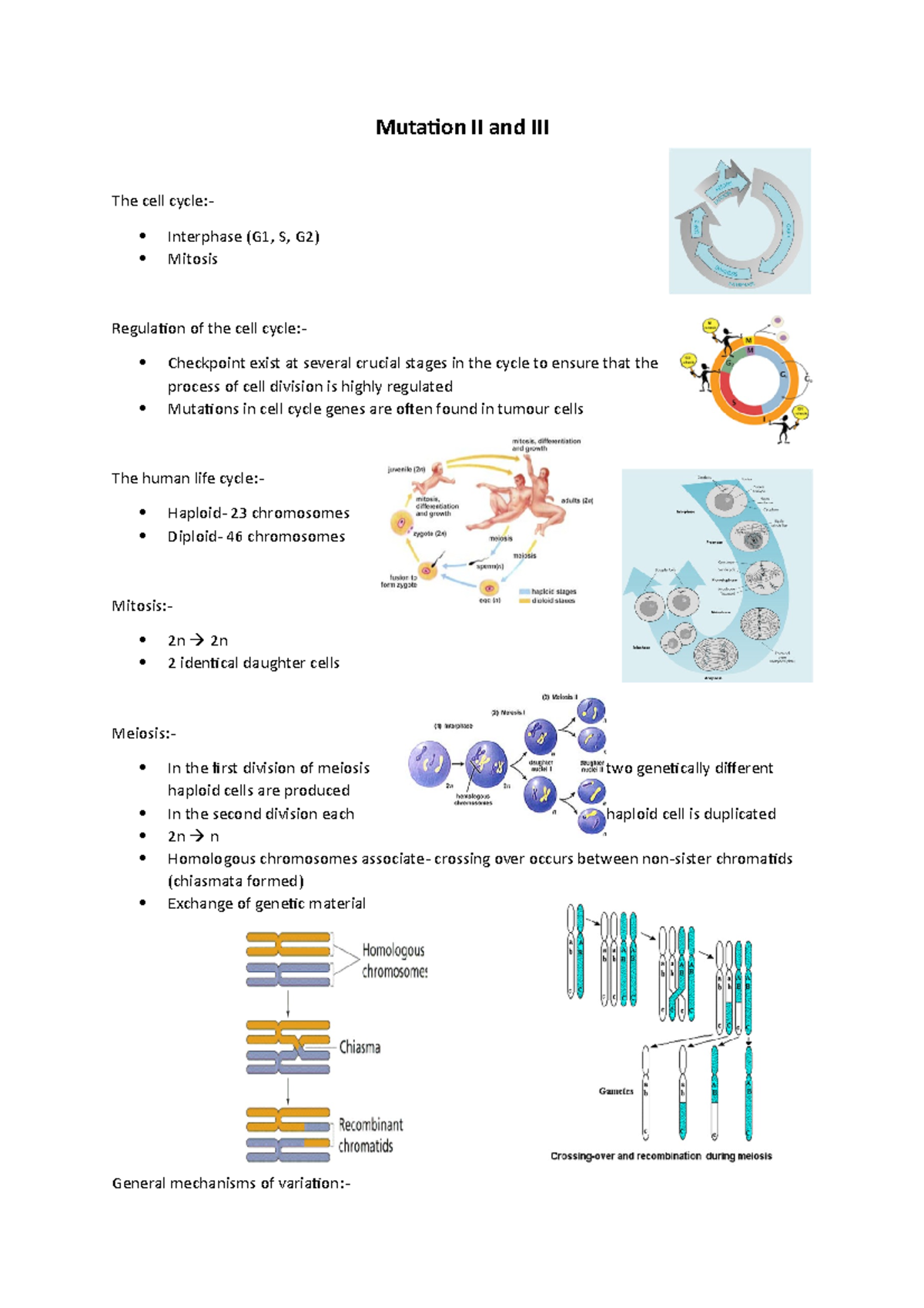 lecture 10 notes - Mutation II and III The cell cycle: Interphase (G1 ...