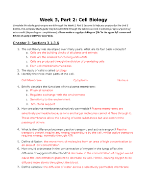 Week 12 Lab Answers - Week 12 Lab The digestive system is basically one ...
