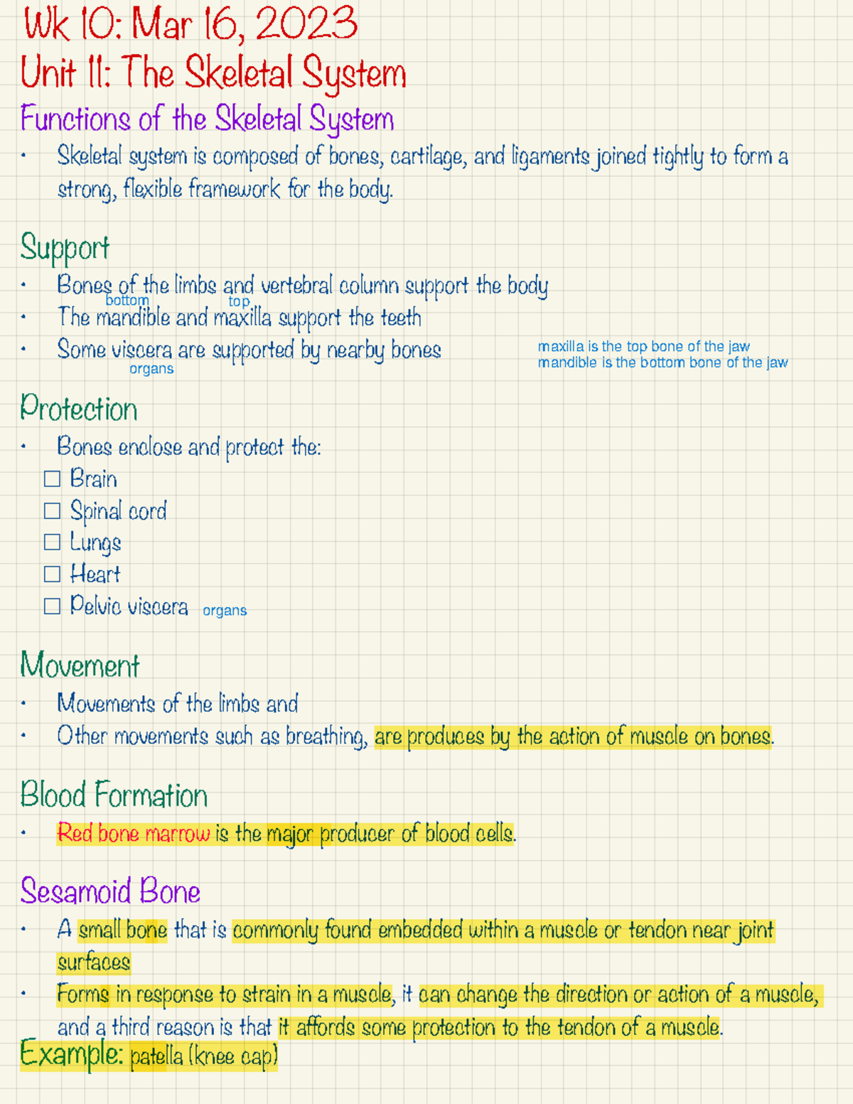 Edocrine - notes - Wk 10: Mar 16, 2023 Unit 11: The Skeletal System ...