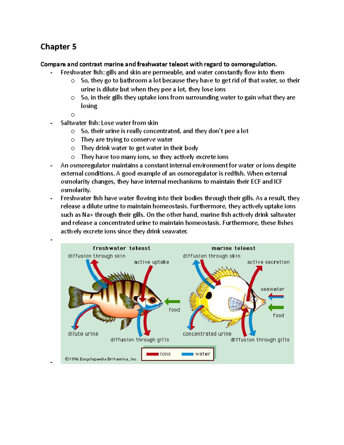 Chapter 5 - Chapter 5 Compare and contrast marine and freshwater ...