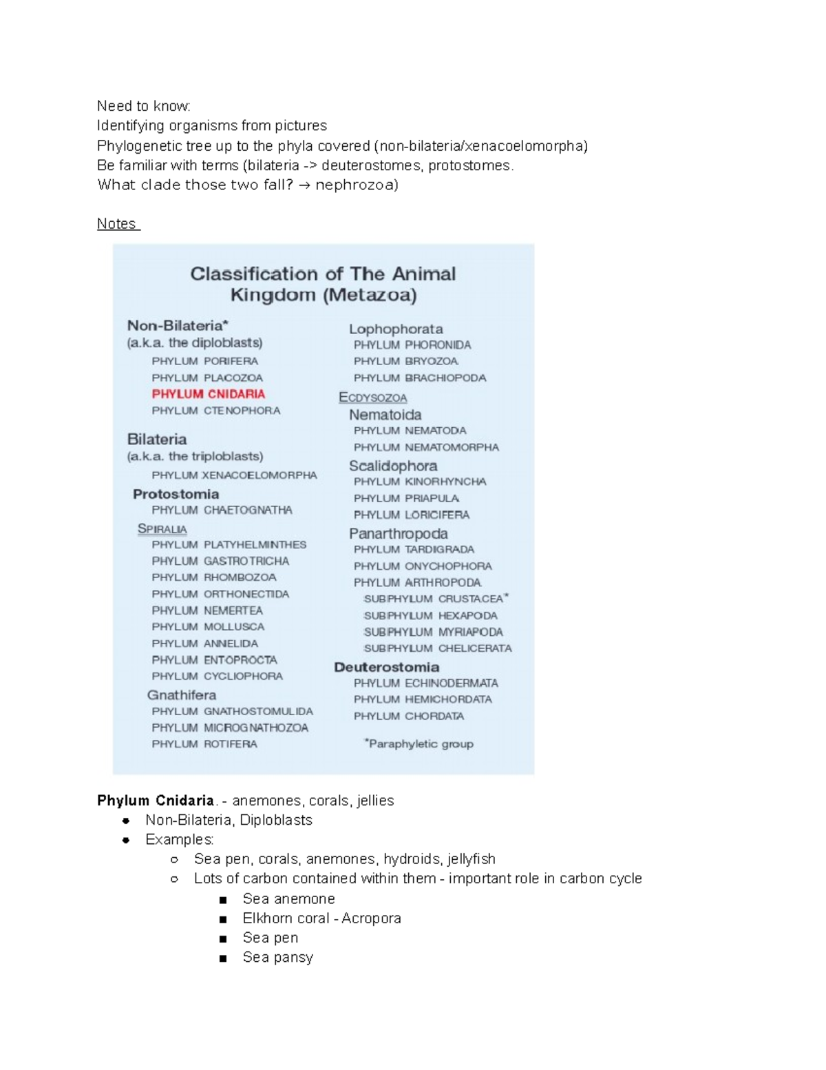 Midterm 2 Study Guide - Invertebrate notes - Need to know: Identifying ...