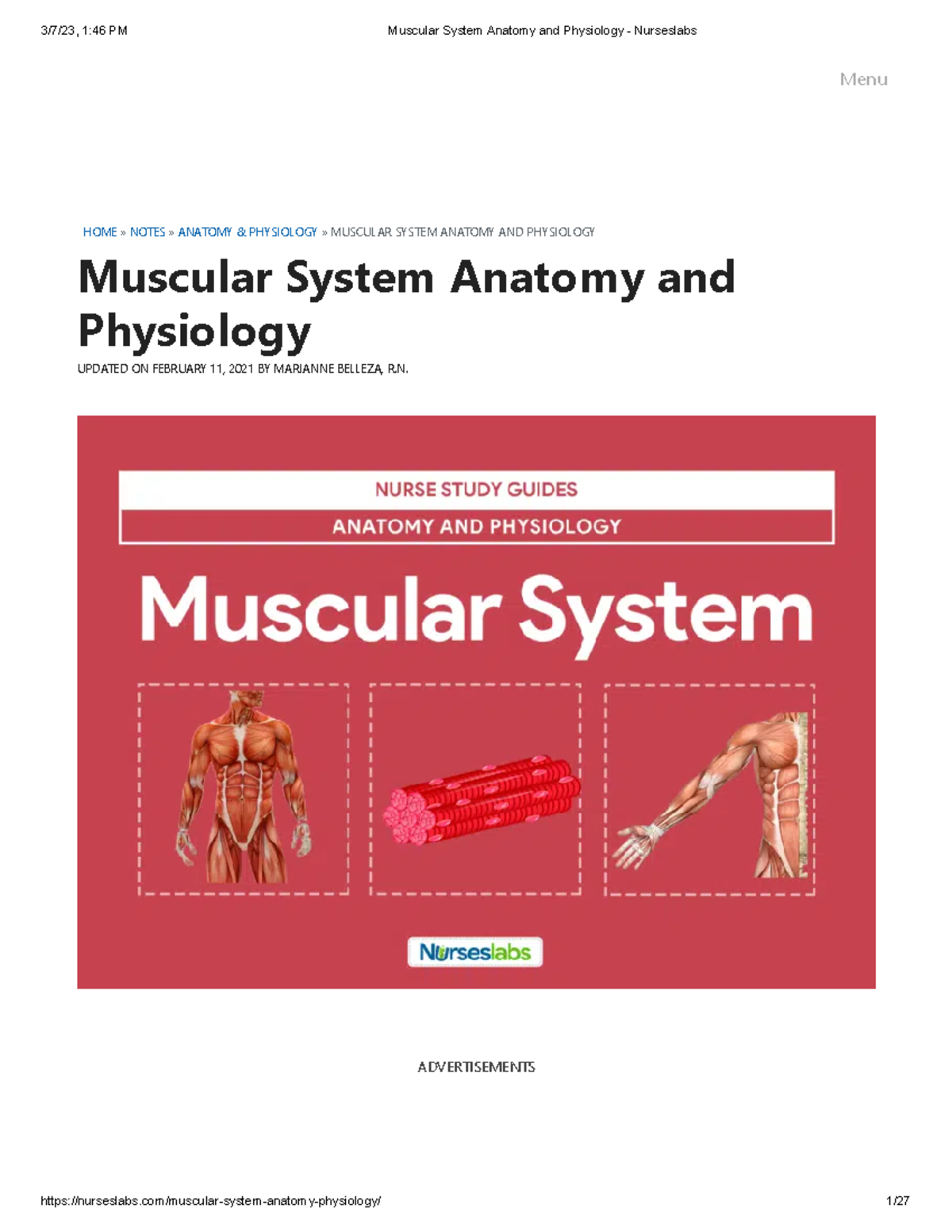 Muscular System Anatomy and Physiology - Nurseslabs-health and nursess ...