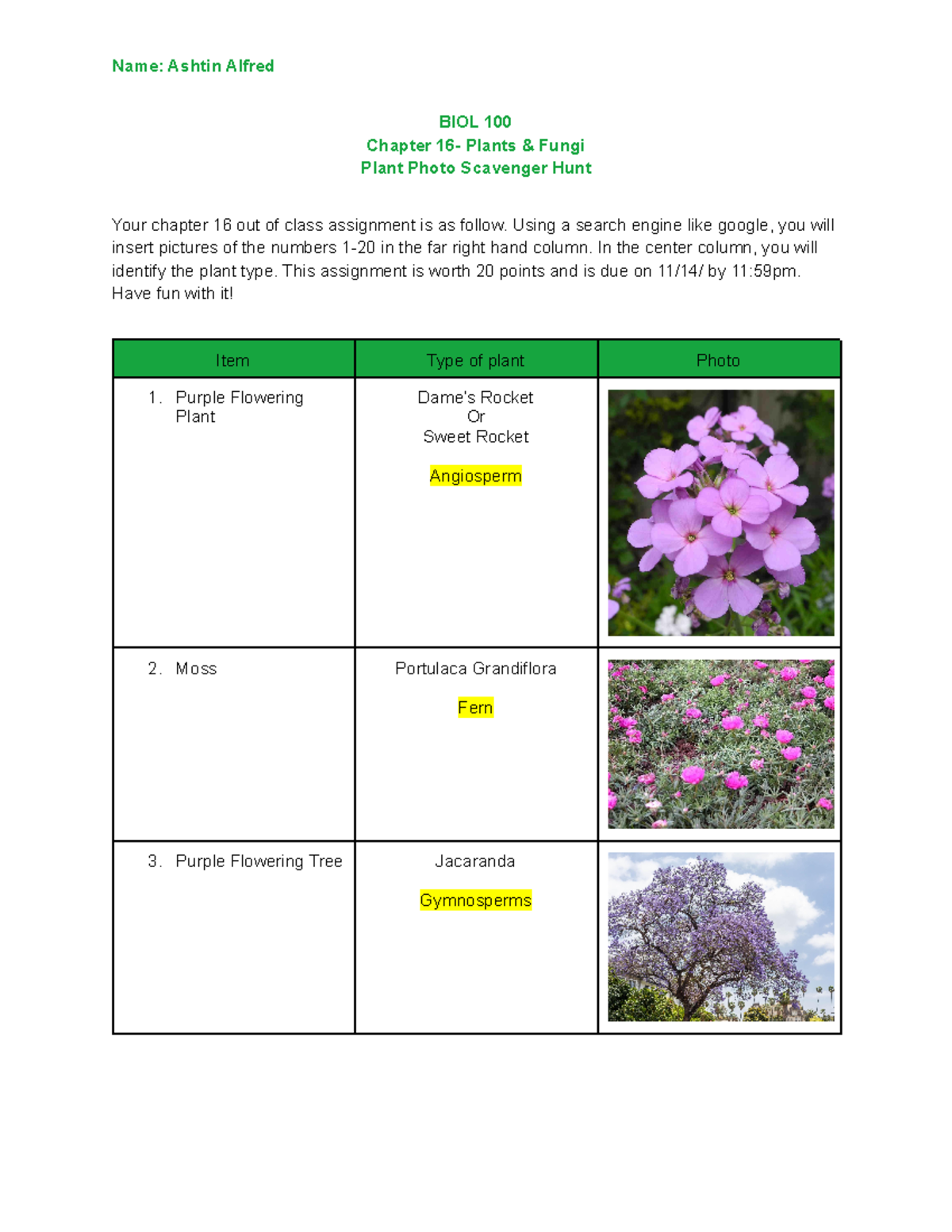 Chapter 16 Out of Class Assignment - BIOL 100 Chapter 16- Plants ...