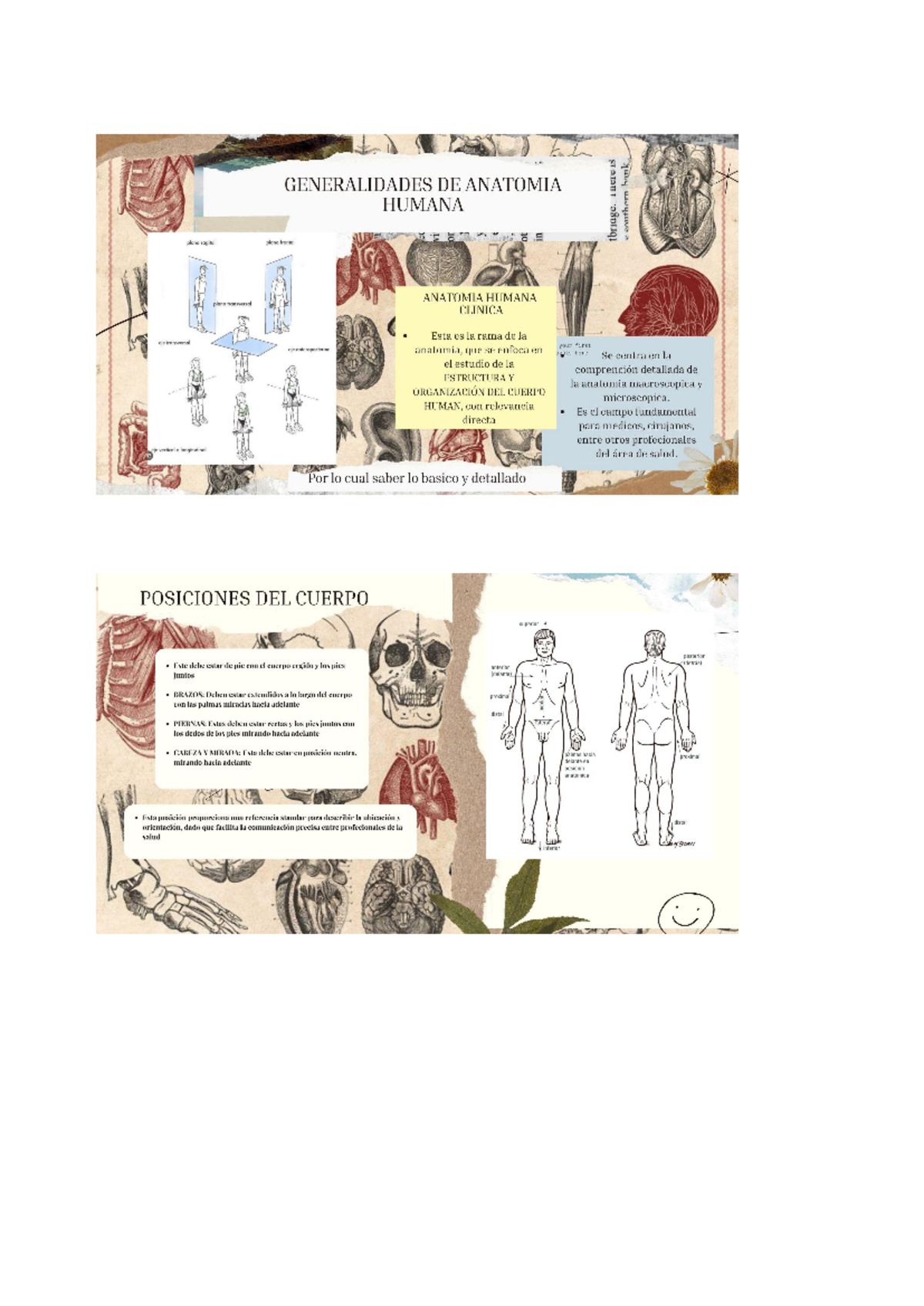 Anatomía medicina - GENERALIDADES DE ANATOMIA start HUMANA librare CA ...