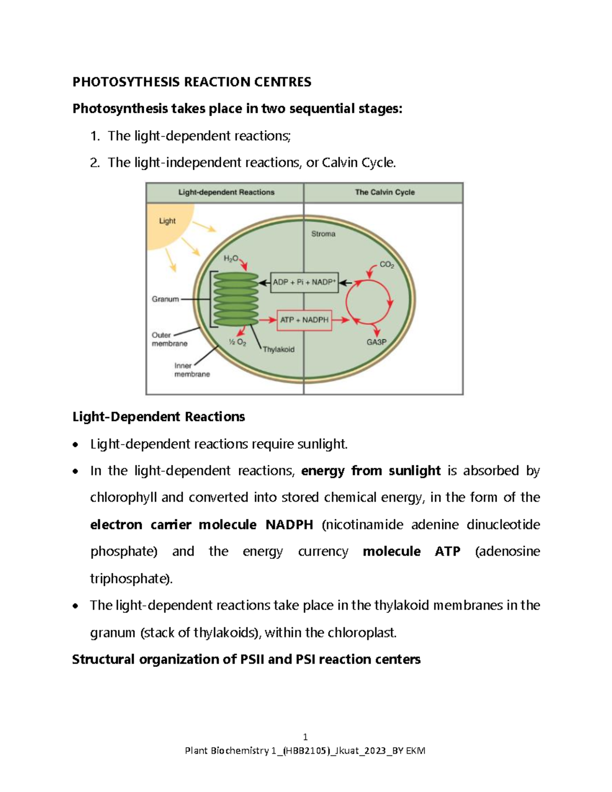 Photosystem - Study notes - 1 PHOTOSYTHESIS REACTION CENTRES ...