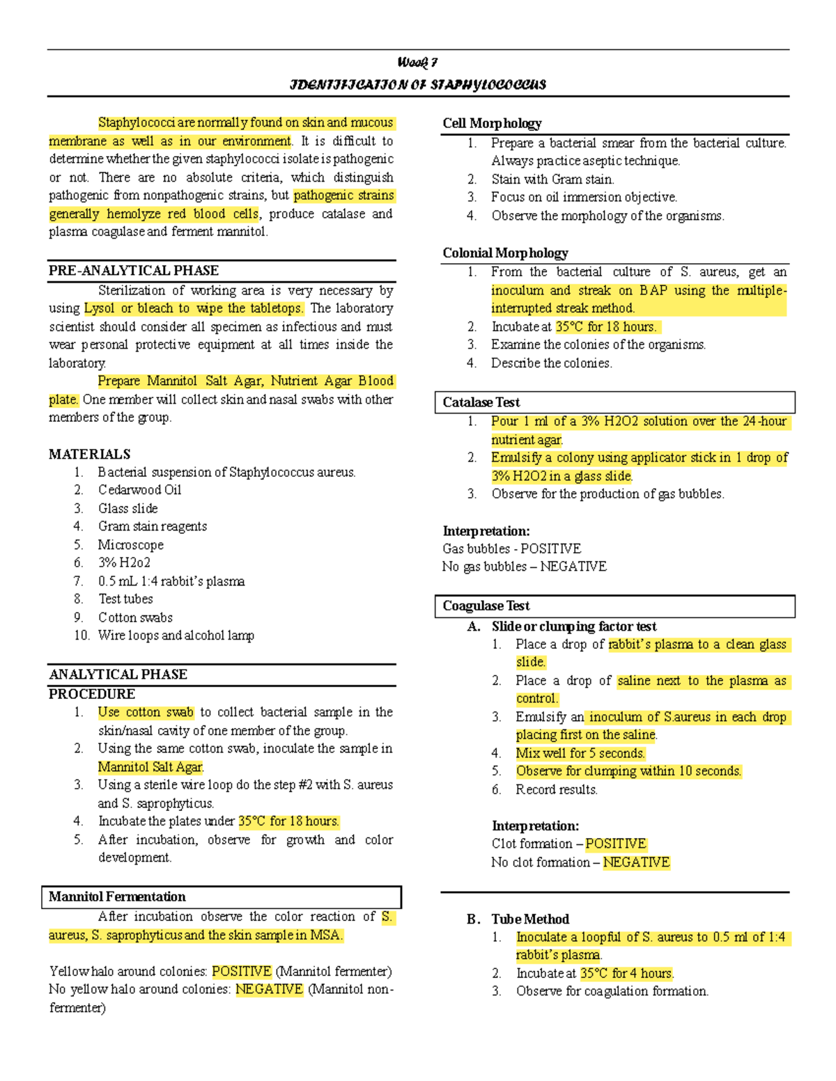 Week 7 l Identification OF Staphylococcus - Week 7 IDENTIFICATION OF ...