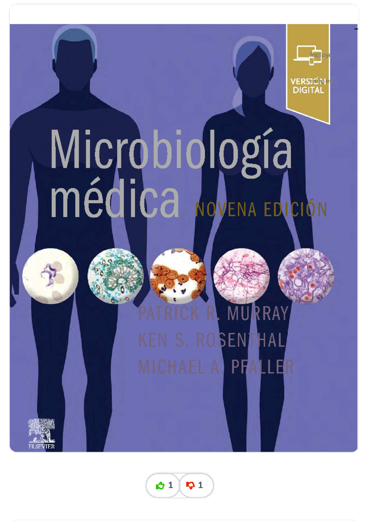 Murray-libro-de-microbiologia-ecologia compress - Microbiología médica ...