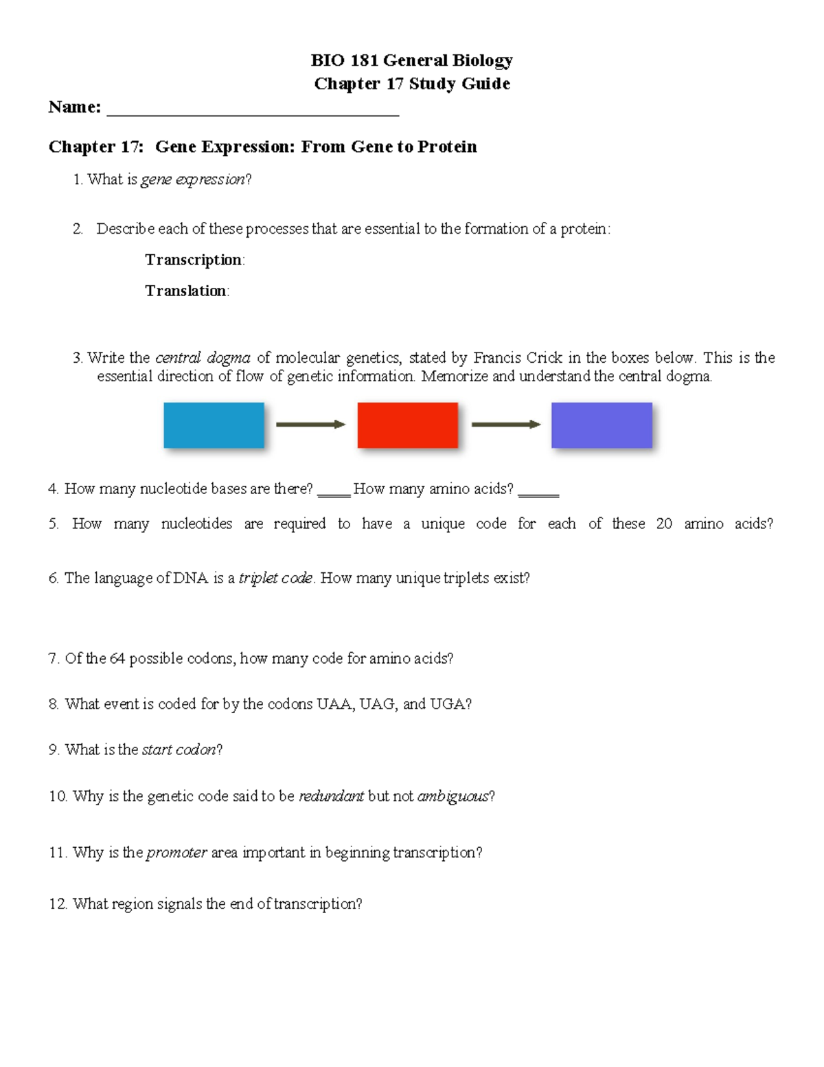 Chapter 17 Study Guide F23 - BIO 181 General Biology Chapter 17 Study ...