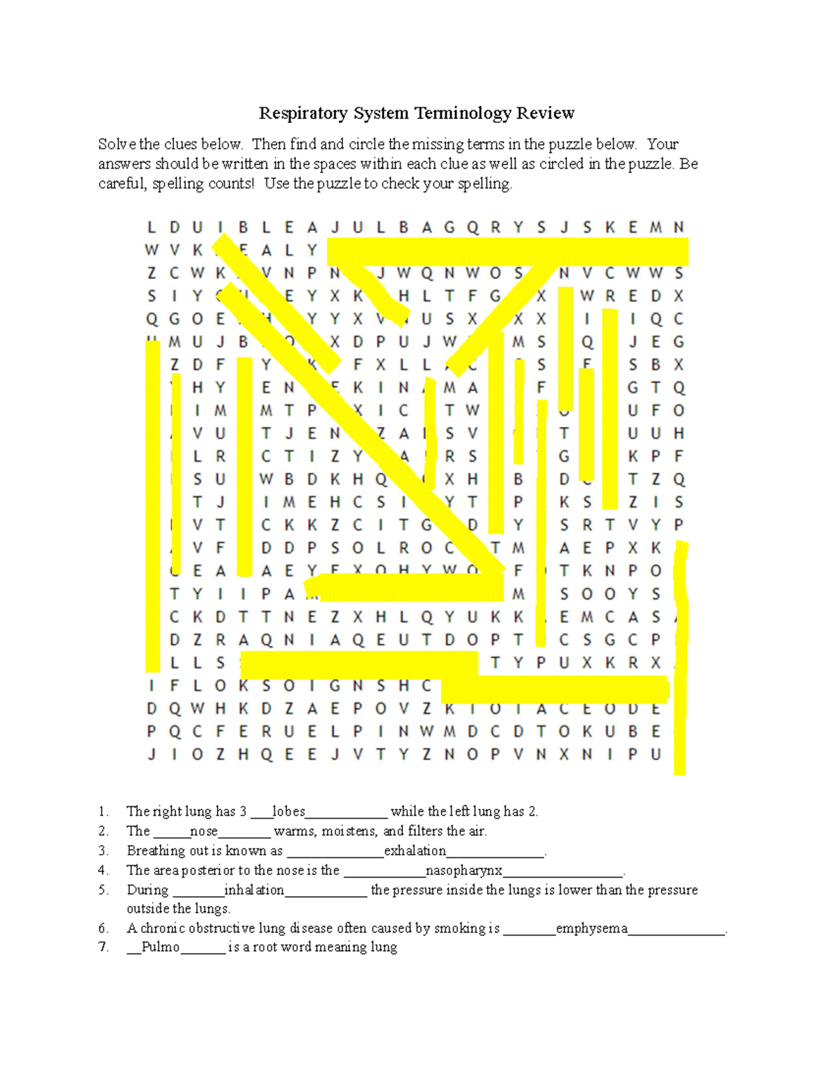 Respiratory Word Search - Respiratory System Terminology Review Solve ...