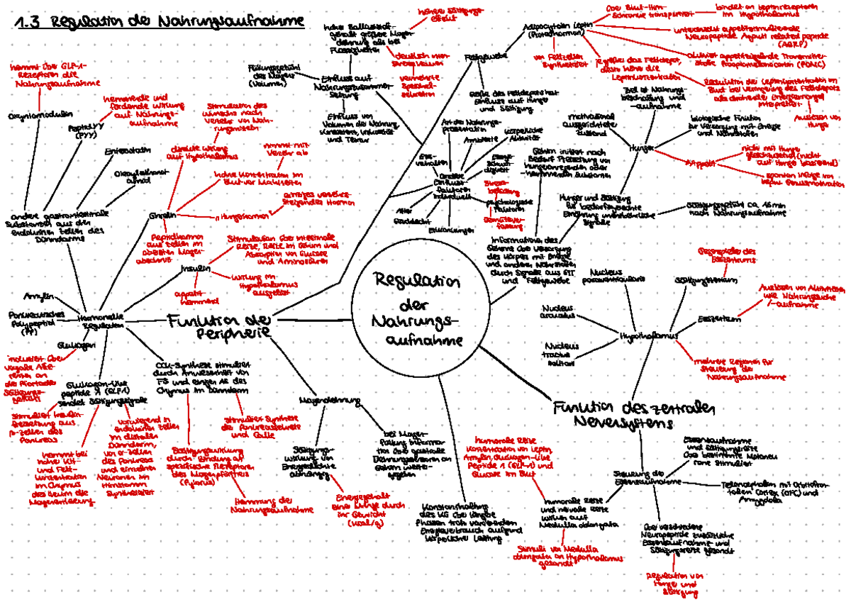 Mindmap Lektion 1.3 - über Blut - Hirn- bindet an Leptisrezeptoren 1 ...