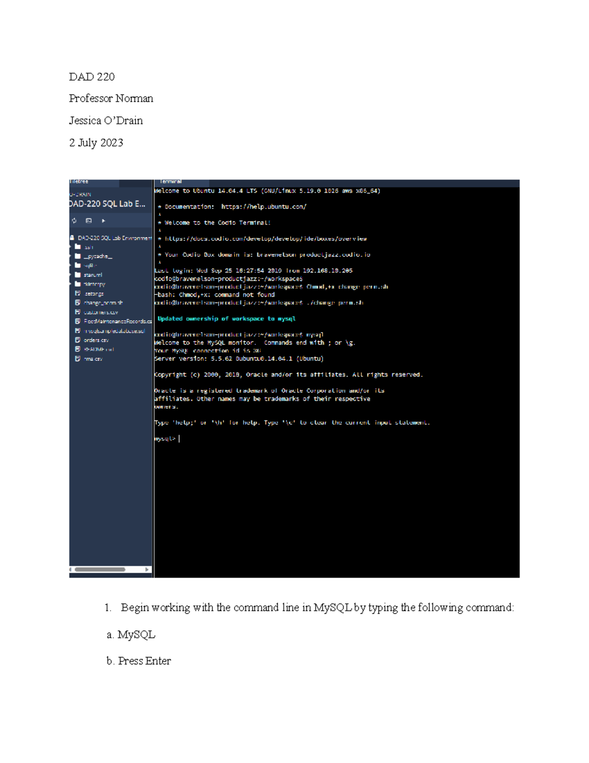 DAD 220- lab 1 - lab - DAD 220 Professor Norman Jessica O’Drain 2 July ...