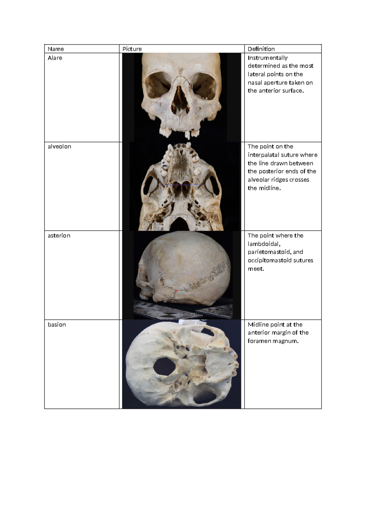 ANA 121 skull opsomming 2 - Name Picture Definition Alare ...