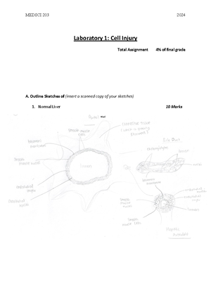 203 lab 2 - The osmolarity and tonicity of the solution. Osmolarity is ...