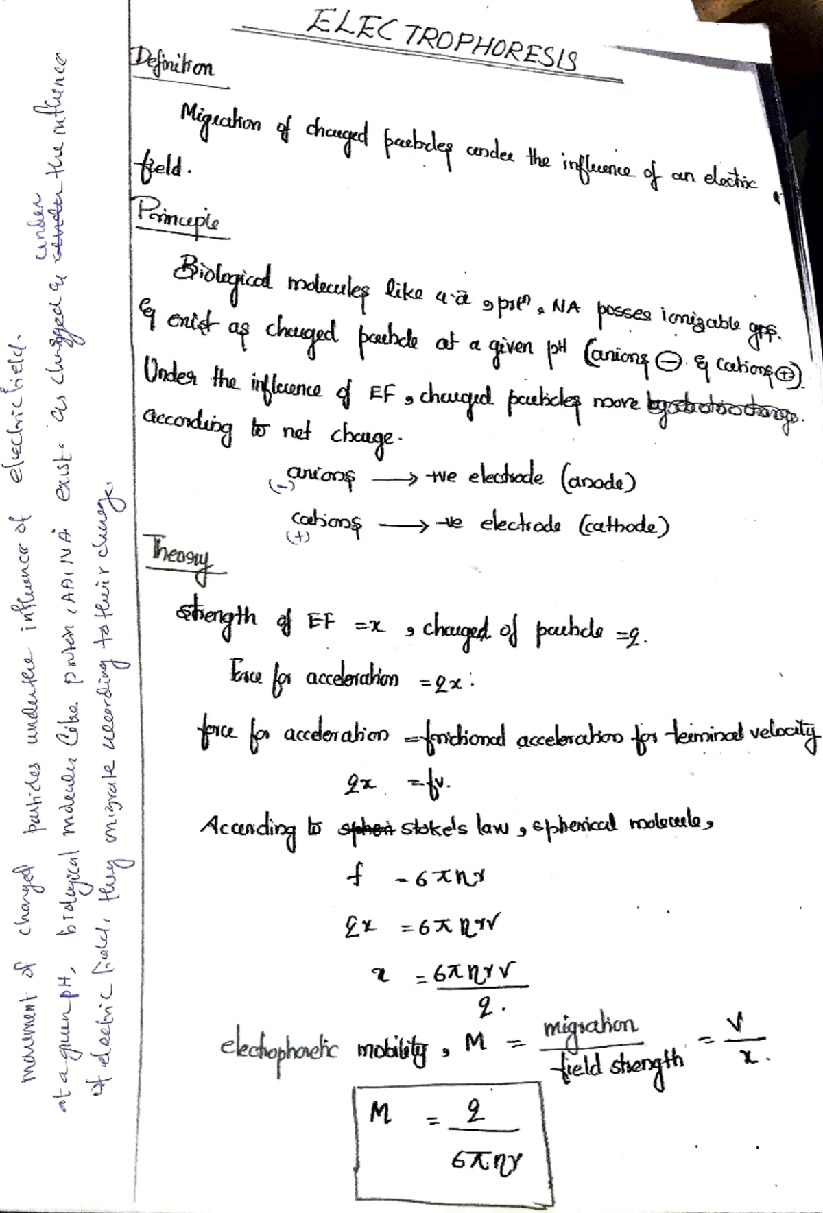 Electrophoresis - Simple note - Bsc MLT - Studocu