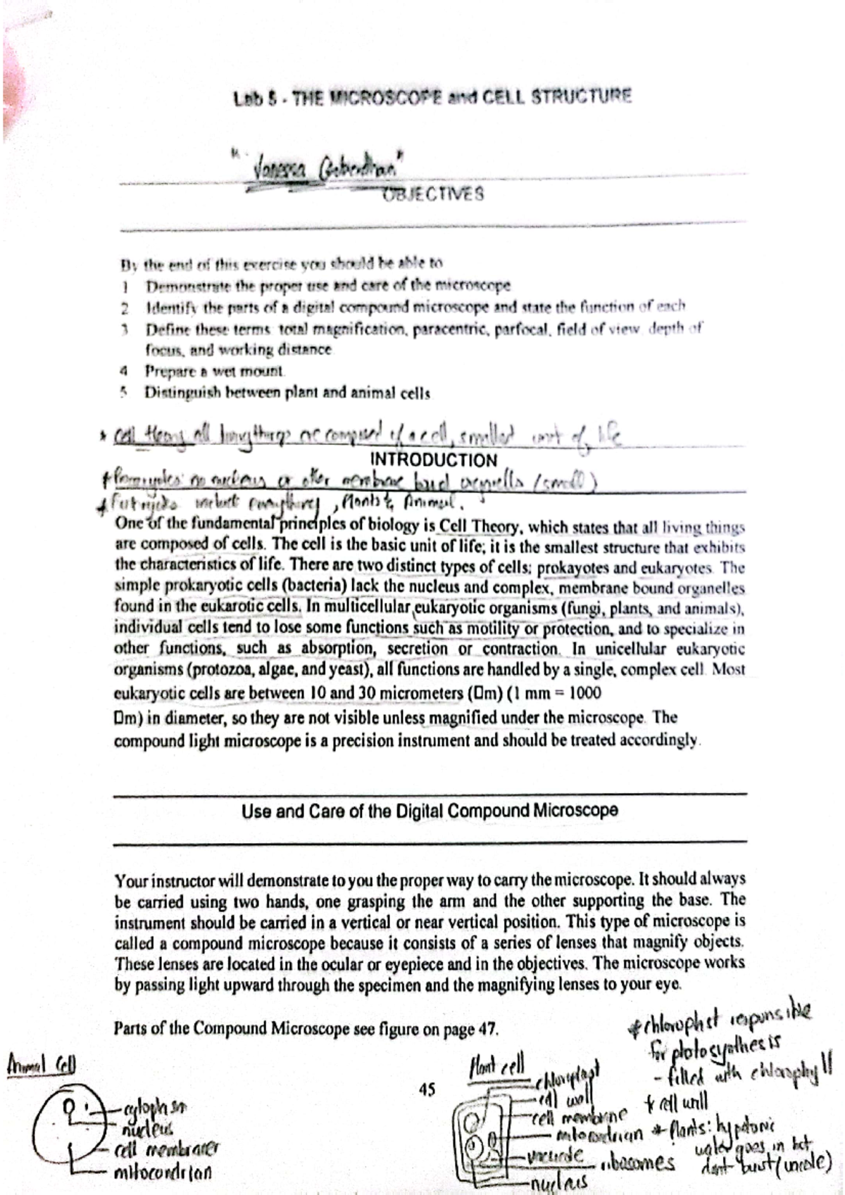 Lab 5 the microscope and cell strusture - BI 201 - Studocu