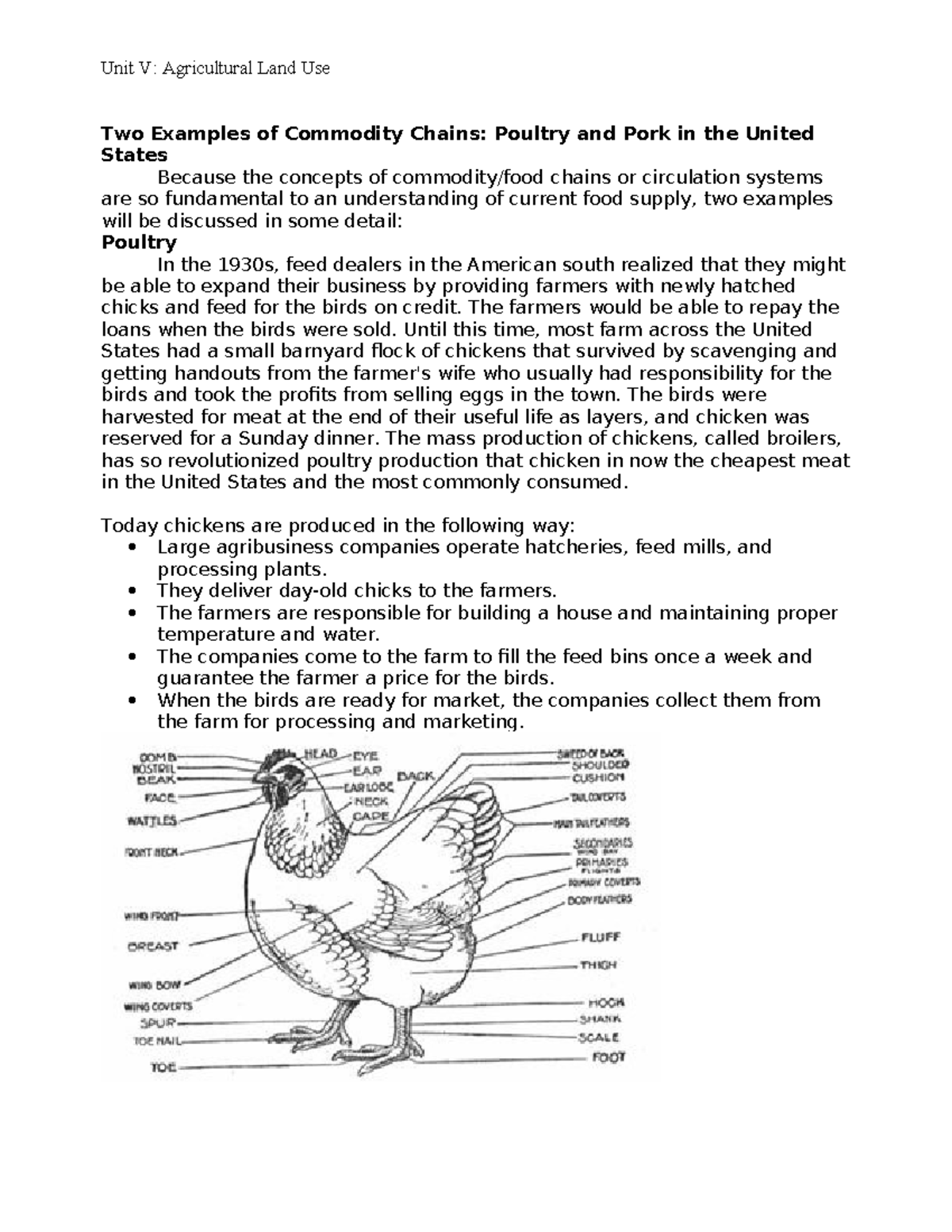 Unit5-Two Examples Of Commodity - Two Examples of Commodity Chains ...