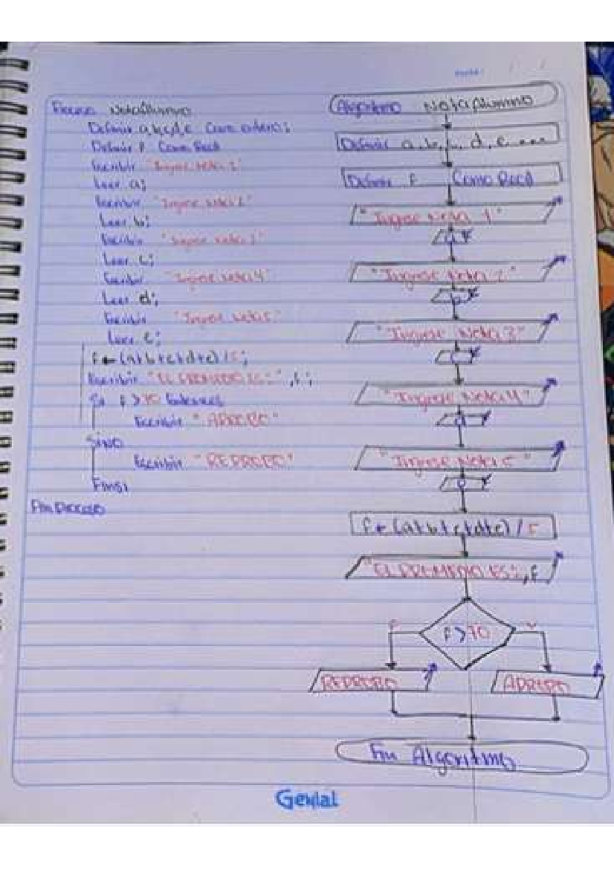 Algoritmo Notas DE Alumno - Introduccion a los sistemas - Studocu