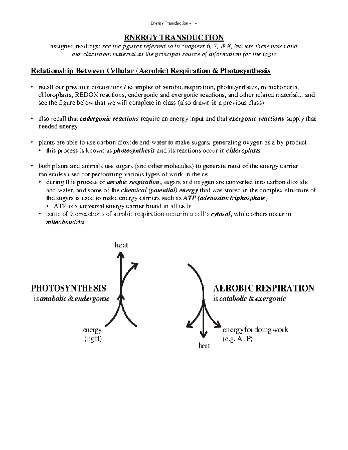 Topic 06 energy transduction spring 2015 - ENERGY TRANSDUCTION assigned ...