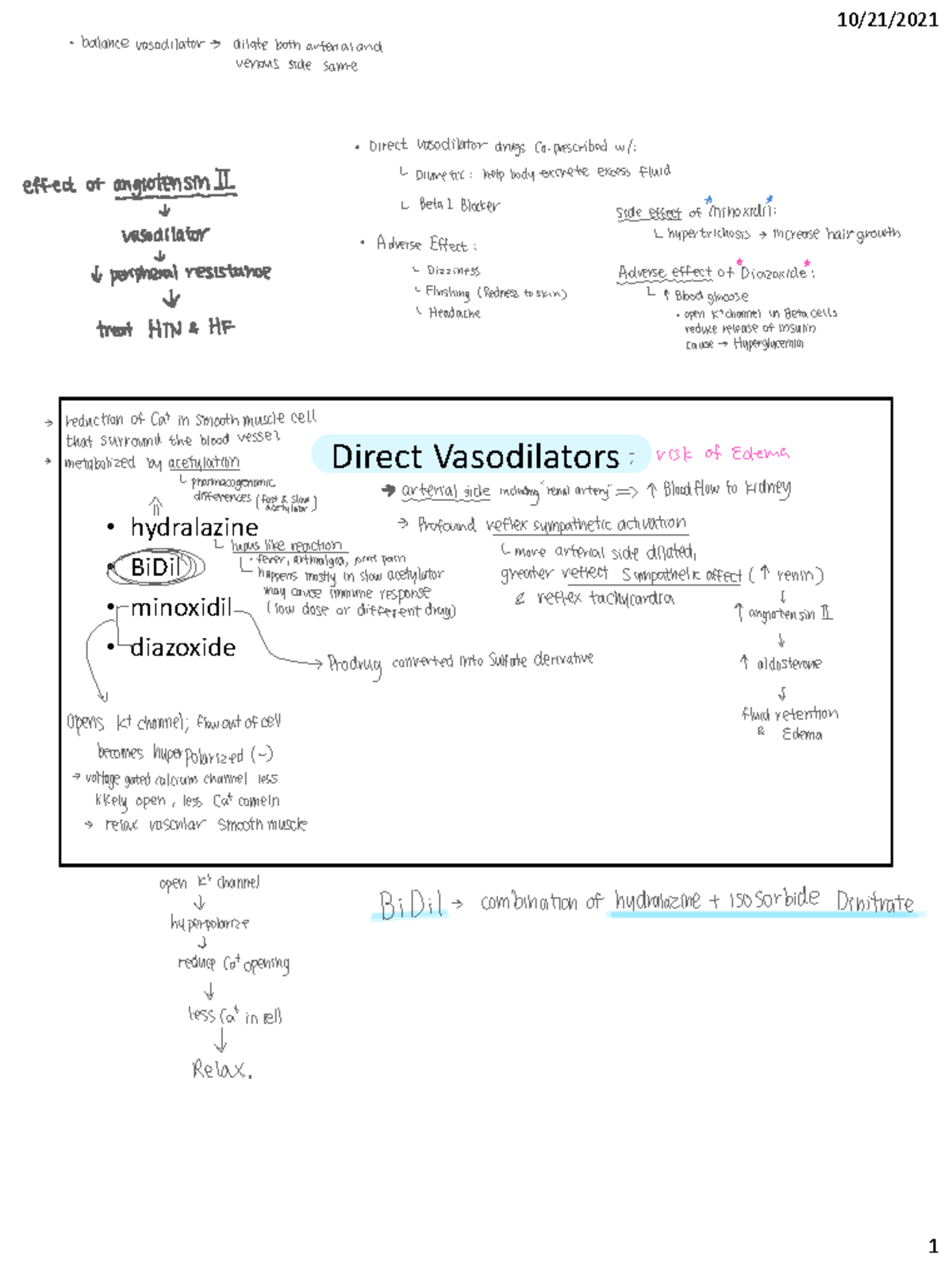 PSB451 Fall 2021 Handout 4 - Direct Vasodilators " hydralazine " BiDil " minoxidil - Studocu