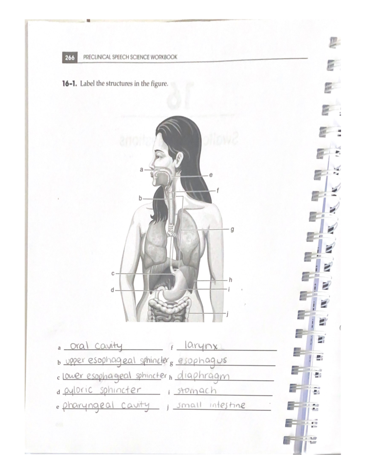Preclinical Speech Science Workbook 5 - C_S_D 3210 - Studocu