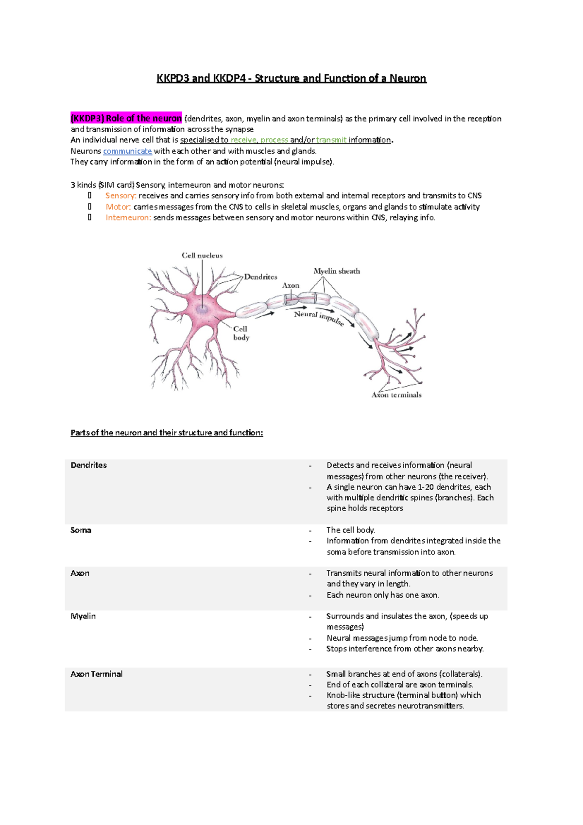 KKPD3 and KKDP4 Structure and Function of a Neuron - Neurons communicate with each other and ...