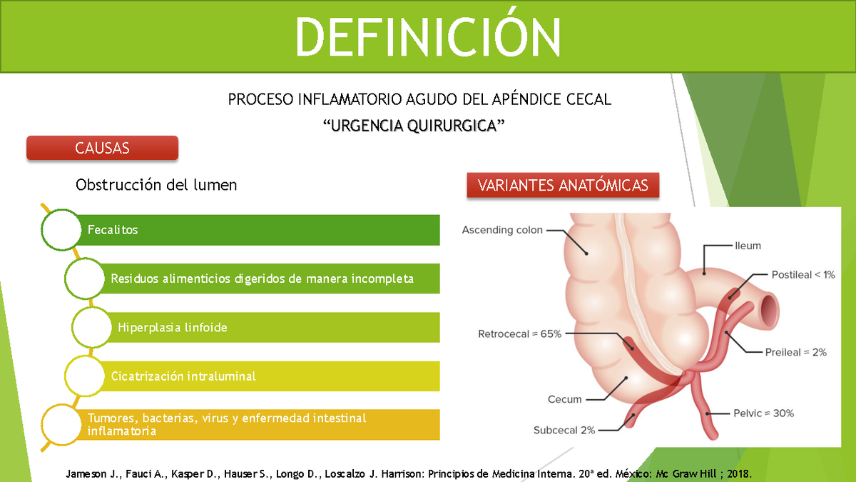 Apendicitis Aguda - DEFINICI”N PROCESO INFLAMATORIO AGUDO DEL AP.. CECAL CAUSAS ObstrucciÛn del ...