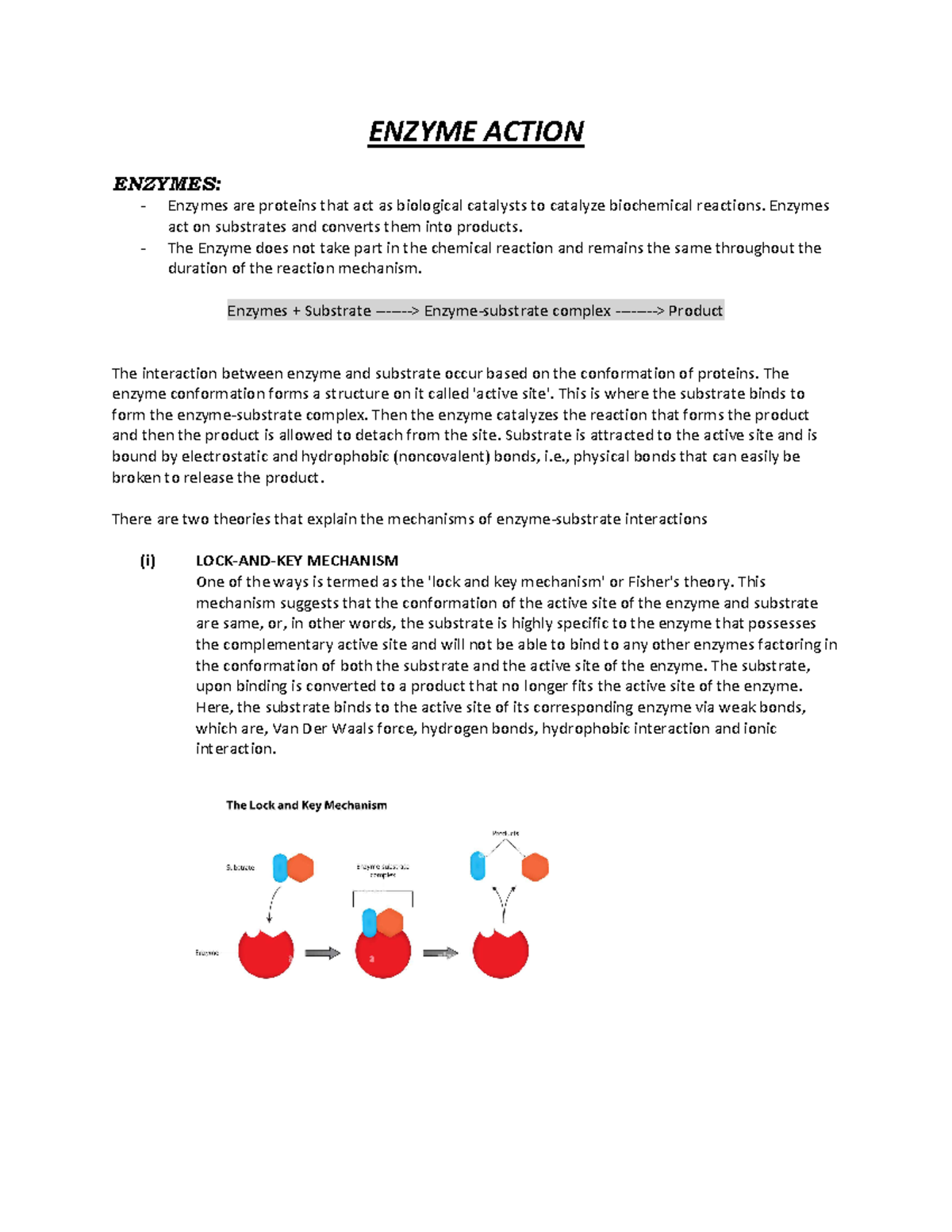 Action of Enzymes - ENZYME ACTION ENZYMES: Enzymes are proteins that ...