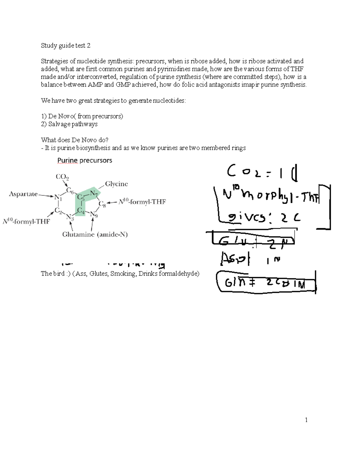 Master Copy of Study guide test 2 biochem - Study guide test 2 ...