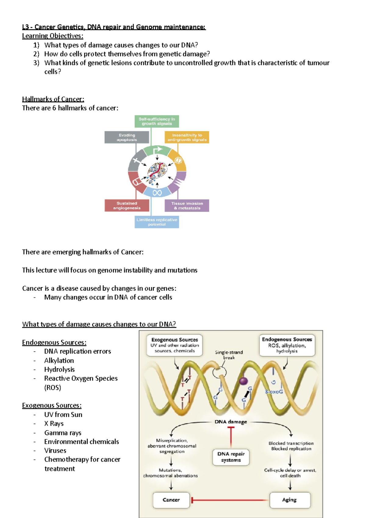 Lecture 3 - Cancer genetics, DNA repair and Genome Maintenance - L3 ...