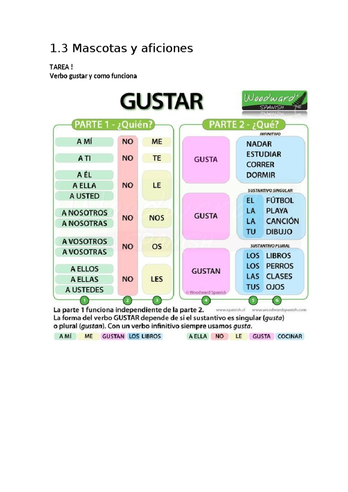 1.3 Mascotas y aficiones - 1 Mascotas y aficiones TAREA! Verbo gustar y ...