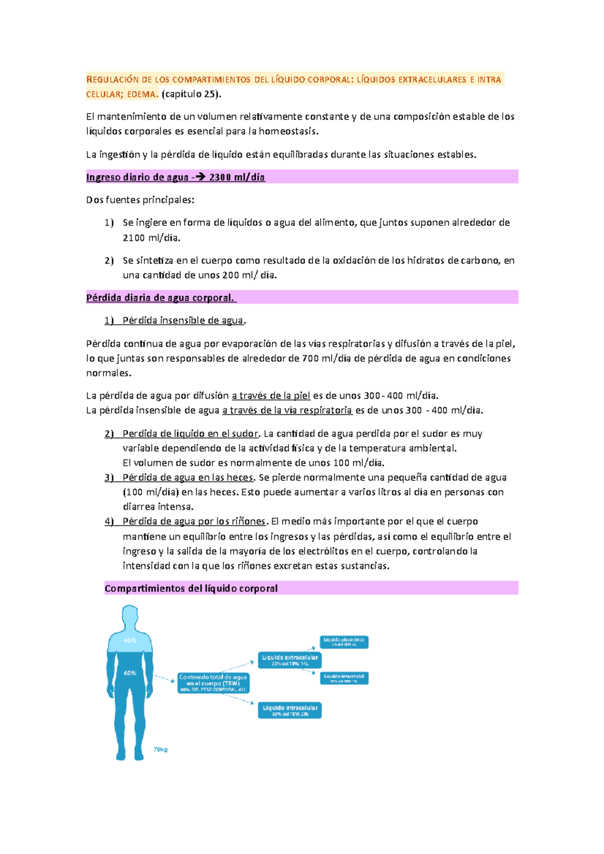 Regulación De Los Compartimientos Del Líquido Corporal El Ser Humano