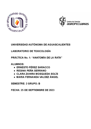 Fisio Unidad 2 SISTEMA CARDIOVASCULAR Y RENAL - UNIDAD 2. Cardiocitos ...