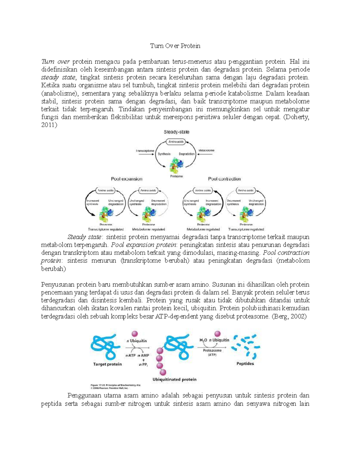 2018-Biokimia-Turn over protein - Turn Over Protein Turn over protein ...