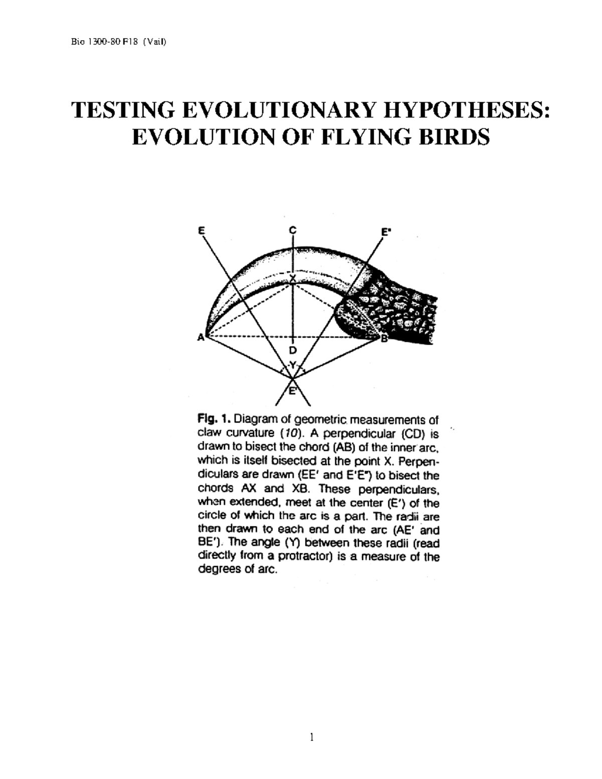 Bird Claws Lab - BIRD EVOLUTION - TESTING EVOLUTIONARY HYPOTHESES ...