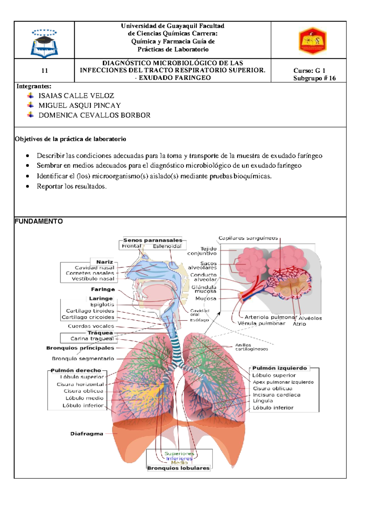 11 informe Micro - Deberes y algo más para que puedas guiarte, ayudarte ...