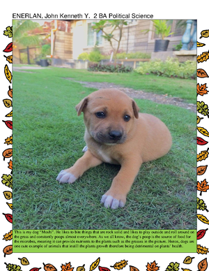 TOAD MUSCULAR SYSTEM - M U S C U L A R N O T E S A. Muscles of the ...