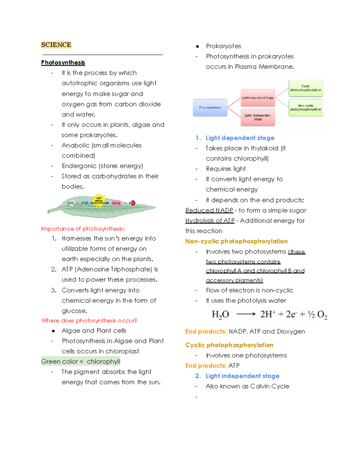 Biology - Photosynthesis notes - SCIENCE Photosynthesis - It is the ...