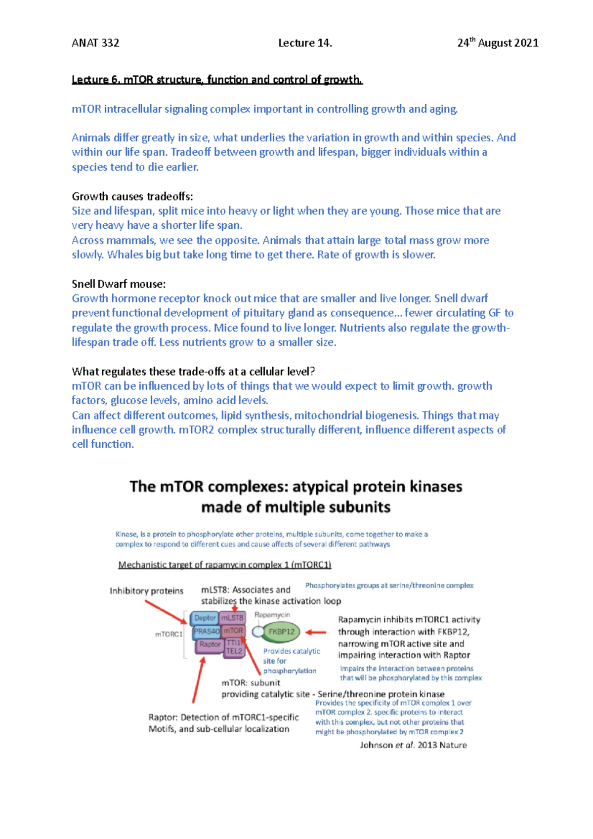 L14 - Lecture notes 14 - Lecture 6. mTOR structure, function and ...