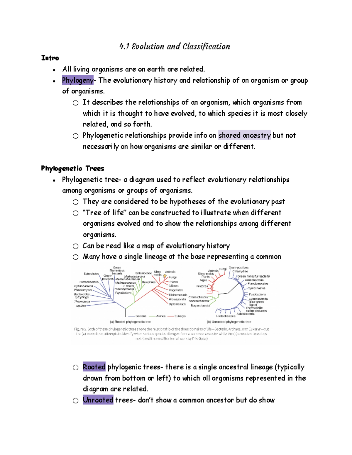 Unit 2 notes - 4.1 Evolution and Classification; 4.2 Determining ...