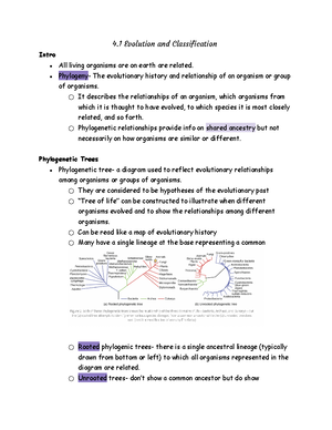 BIO 152 Notes Prokaryotes and Eukaryotes - PROKARYOTIC CELLS: ORIGINS ...