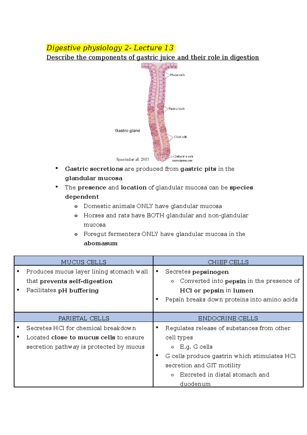 Digestive physiology 2 - G cells G cells produce gastrin which ...