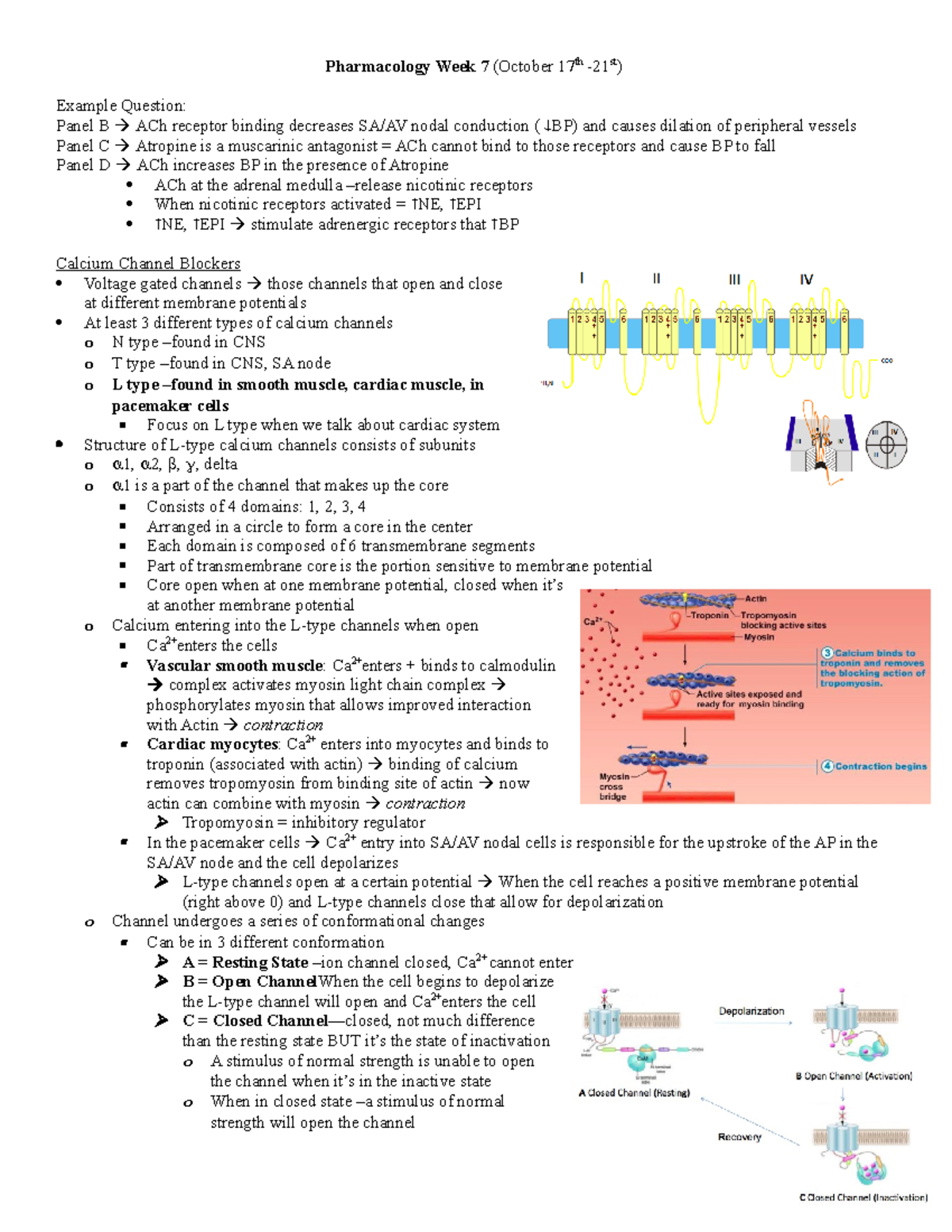 Pharmacology Week 7 - Lecture Notes - Pharmacology Week 7 (October 17th ...