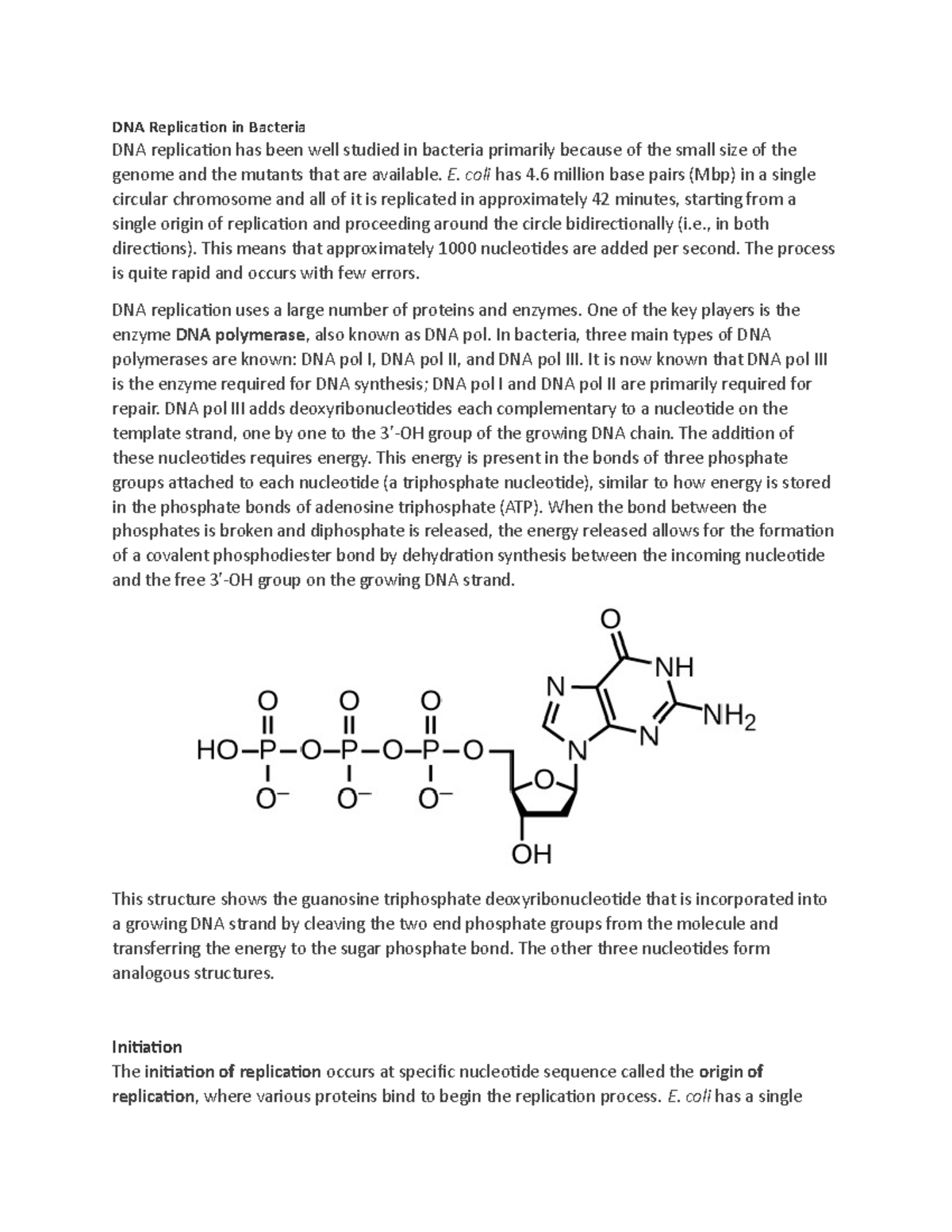 DNA Replication in Bacteria - 17976 - BCU - Studocu