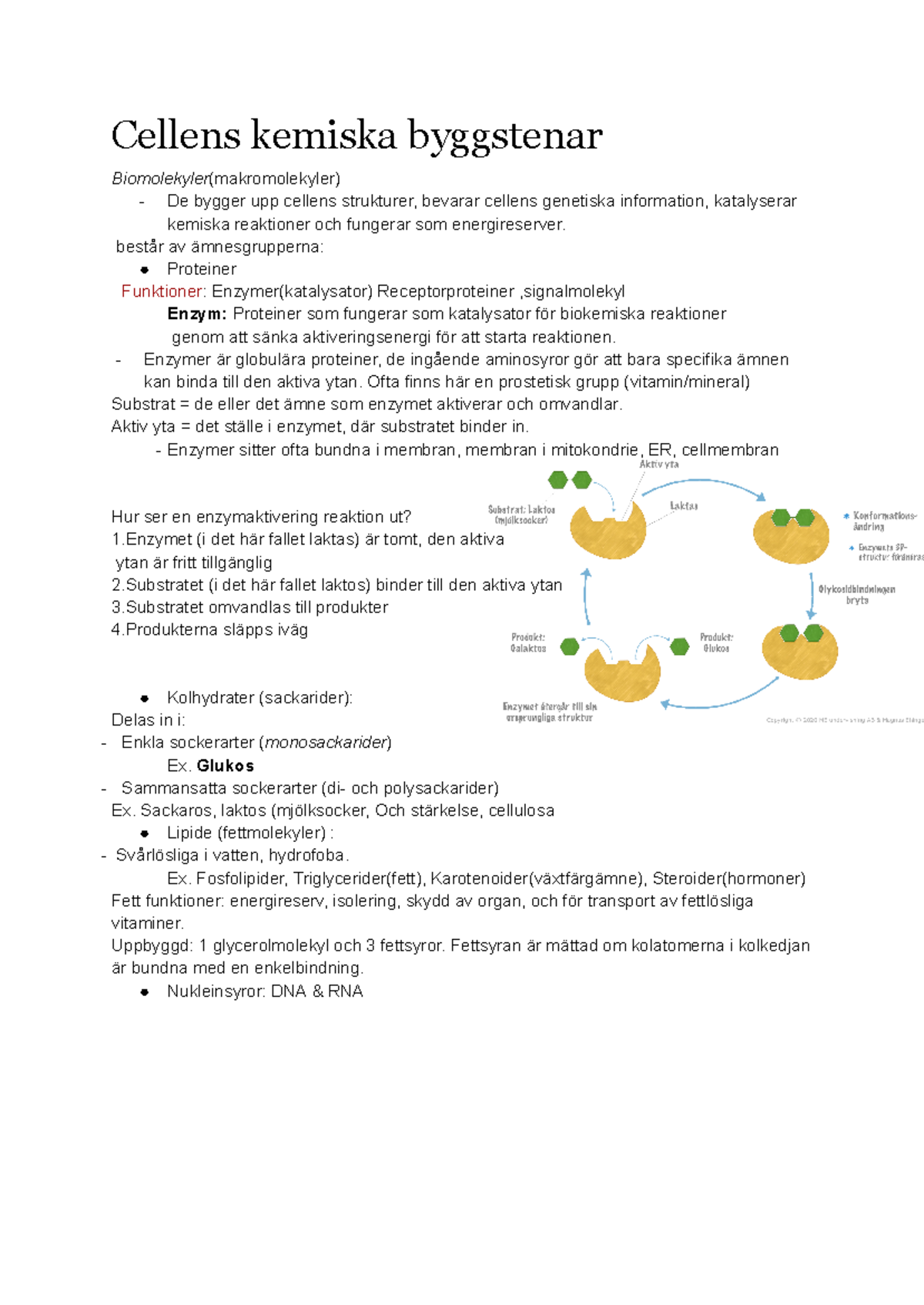 Eukryota celler - cell-och molekylär biologi - Cellens kemiska ...