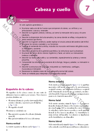 Artrología - ATM, disco articular, cóndilo, clasificaciones, ligamentos ...